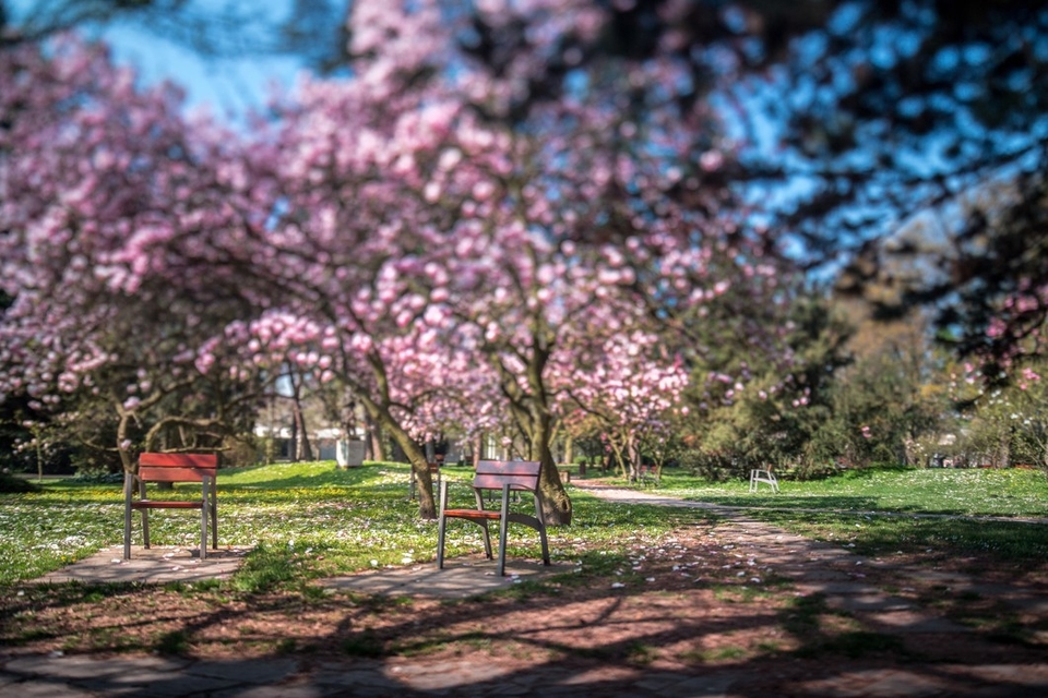 Výstaviště Flora Olomouc | kdykde.cz